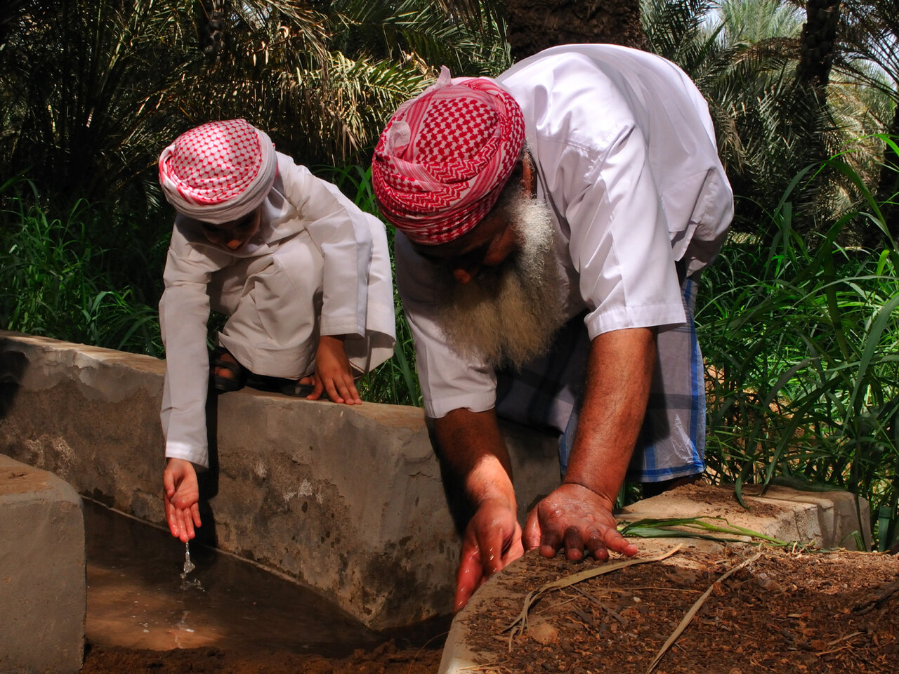 Aflaj And Camel Racing In UAE Added To UNESCO's List Of Intangible ...