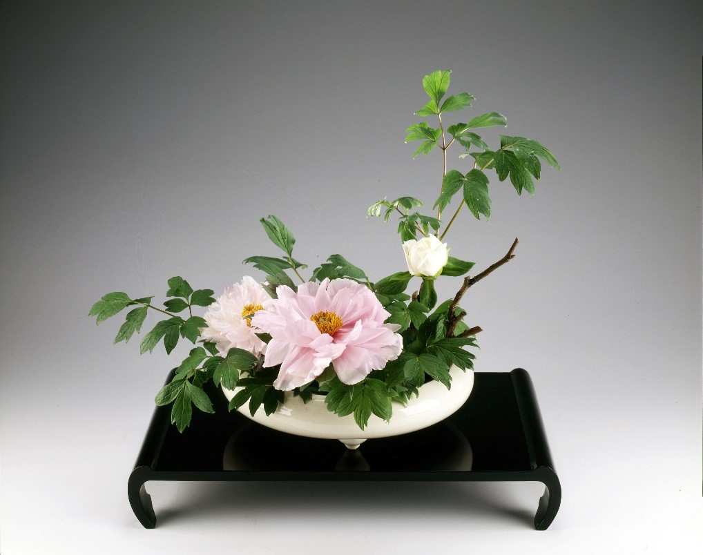 First Emirati certified Ikebana traditional Japanese flower art instructor