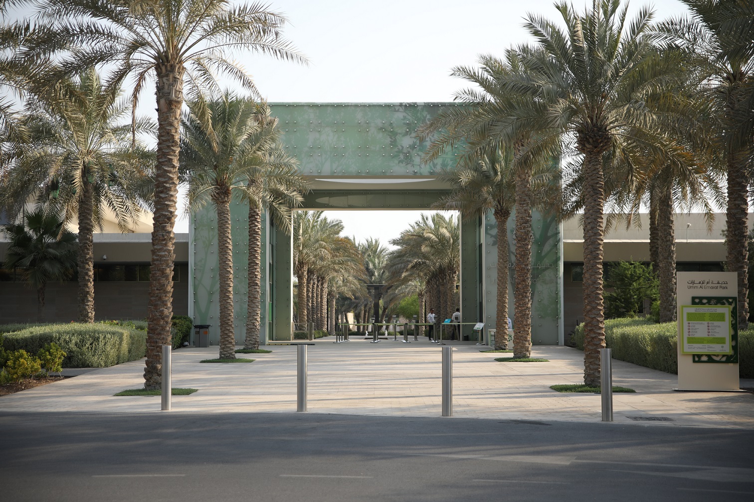 Free landscape photography session for beginners at Umm Al Emarat Park
