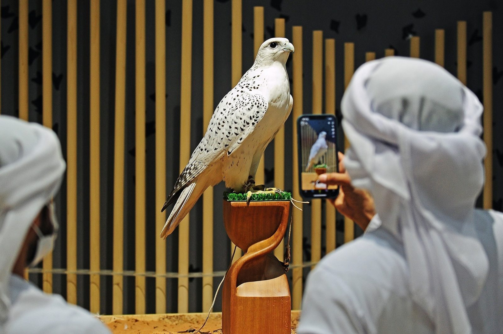 ADIHEX Launches Competition for Best Traditional Falcon Stand