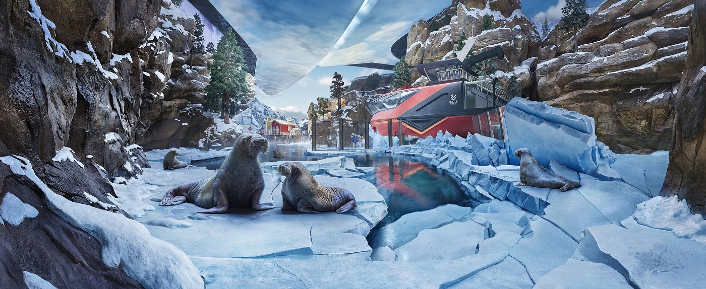 Discover the Enchanting Walrus Realm: SeaWorld® Yas Island's Arctic Marvel