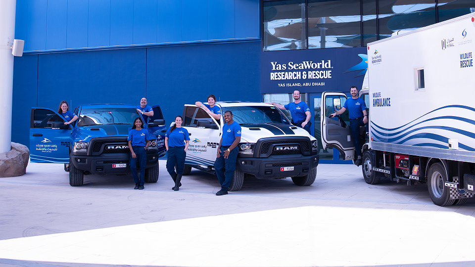 Yas SeaWorld® Introduces First Marine Wildlife Ambulances